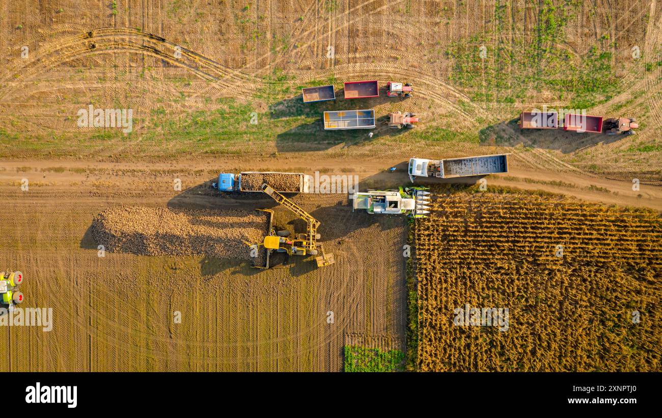 Above top view, agricultural loader as transferring freshly harvested ...