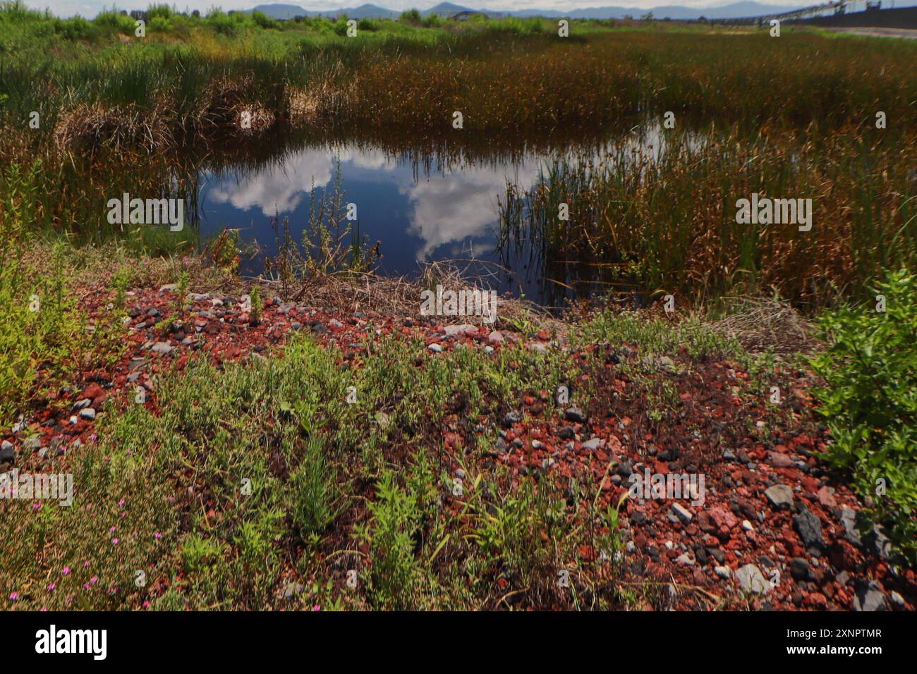 Lake Texcoco Ecological Park General view of Texcoco Lake. The Lake ...