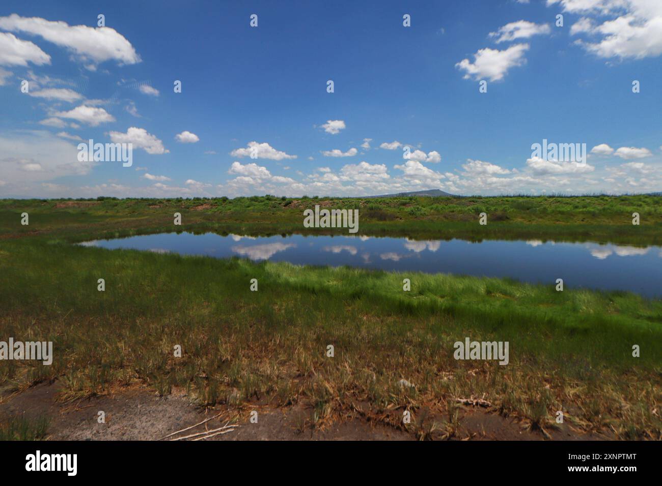 Lake Texcoco Ecological Park General view of Texcoco Lake. The Lake ...