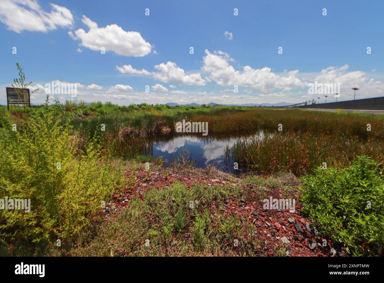 Lake Texcoco Ecological Park General view of Texcoco Lake. The Lake ...