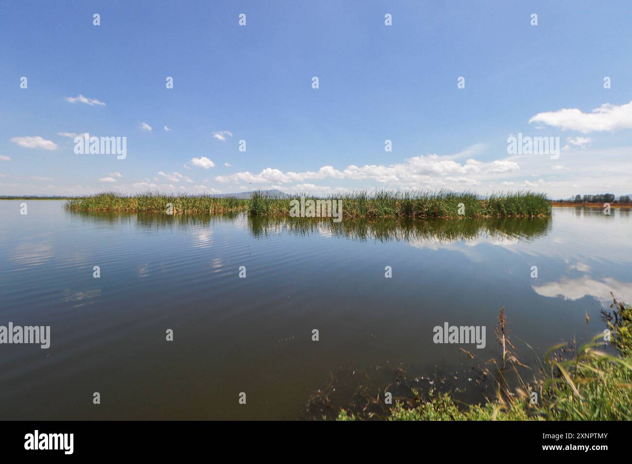 Lake Texcoco Ecological Park General view of Texcoco Lake. The Lake ...
