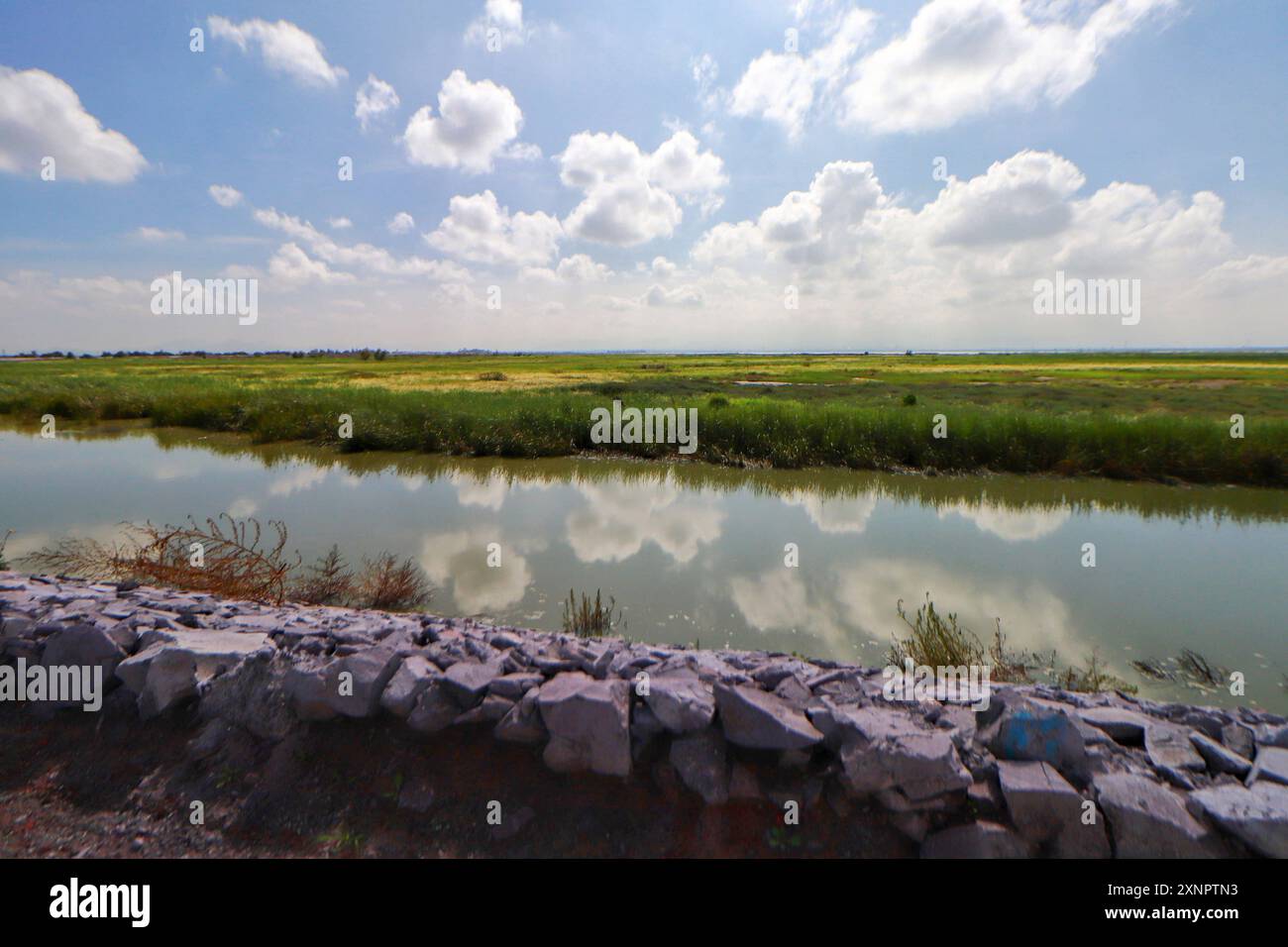 Lake Texcoco Ecological Park General view of Texcoco Lake. The Lake ...