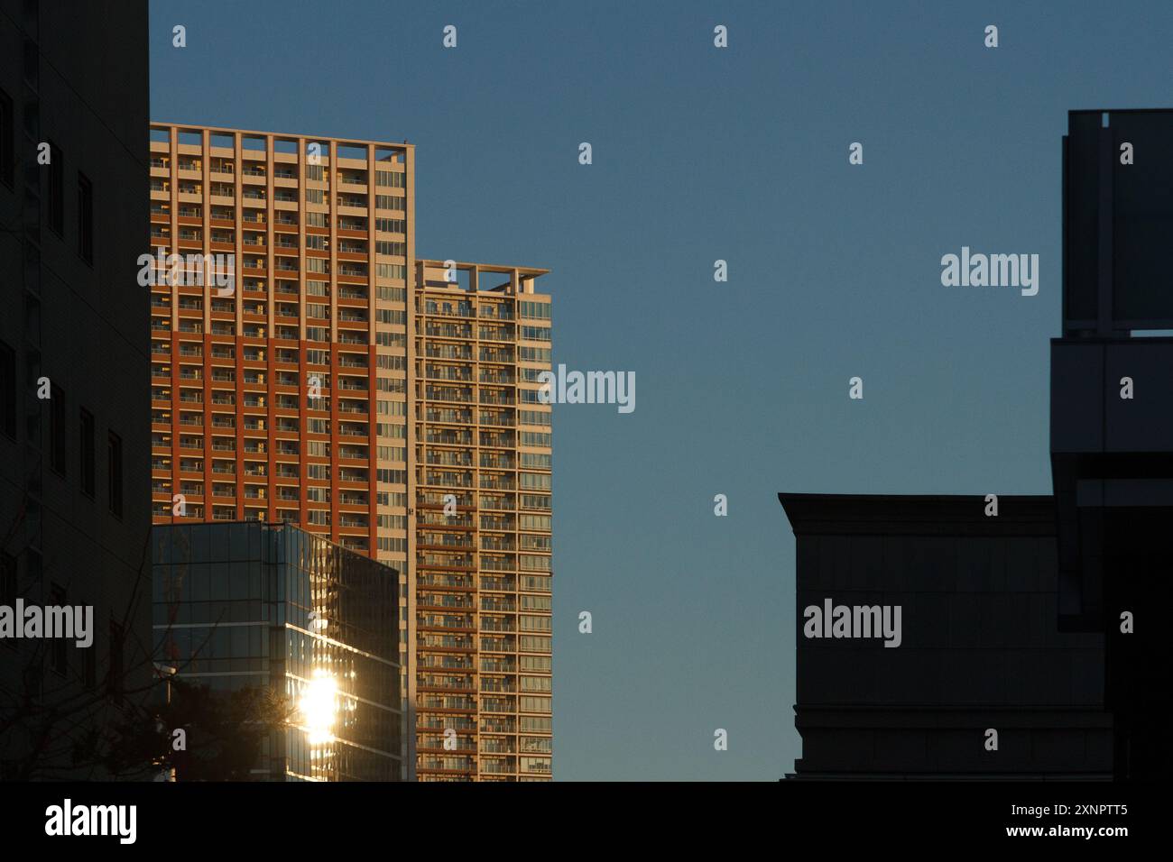 Tall apartment towers catch dusk sunlight in Tokyo, Japan Stock Photo ...