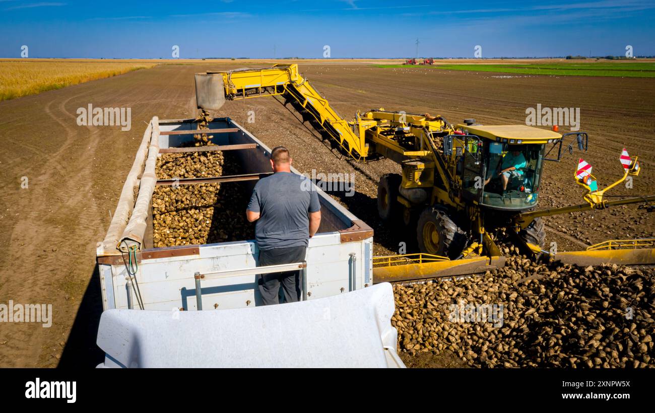 Reloading the truck hi-res stock photography and images - Alamy