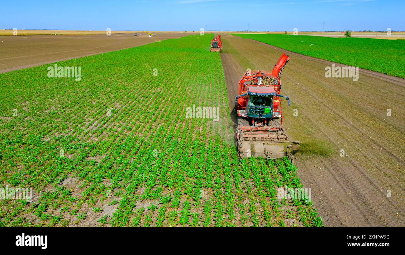 Above view on two agricultural machines, harvesters as cutting and ...