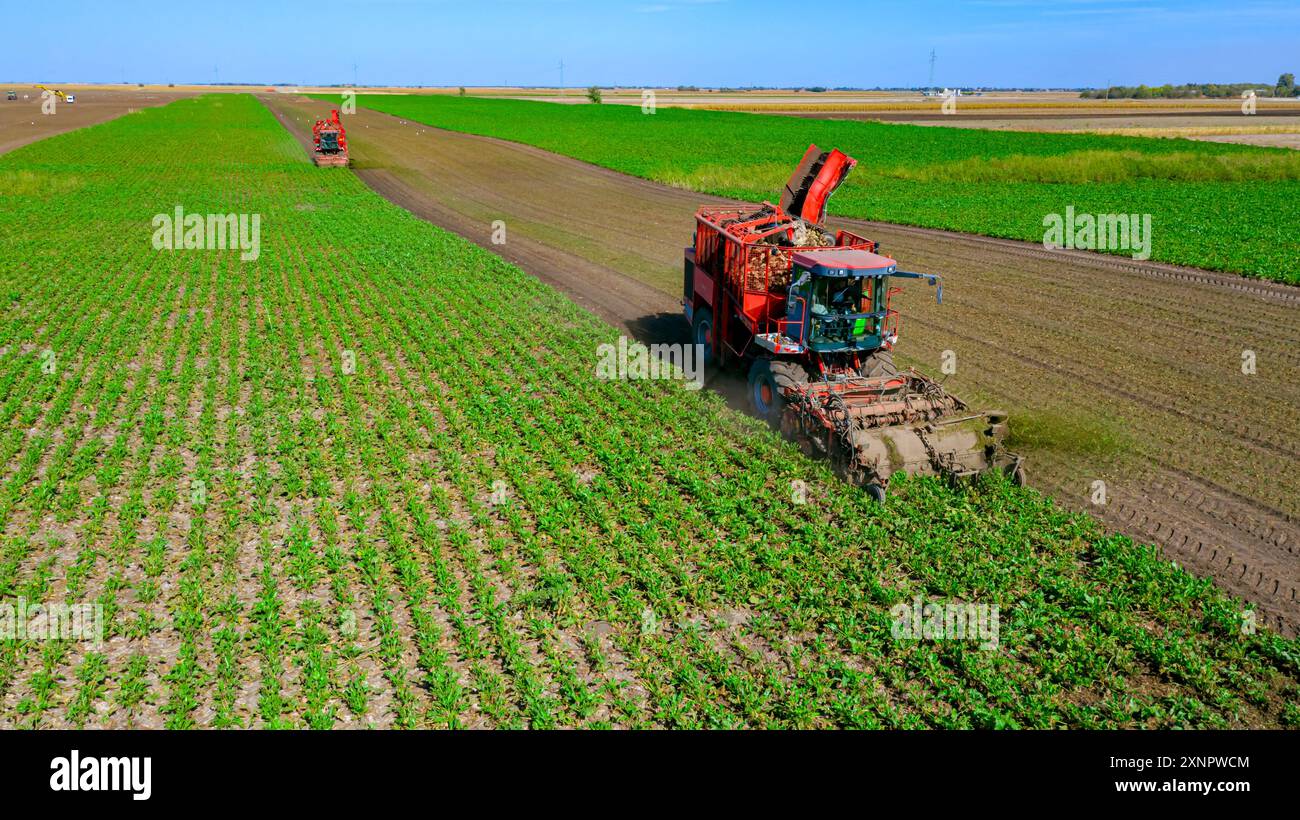 Above view on two agricultural machines, harvesters as cutting and ...