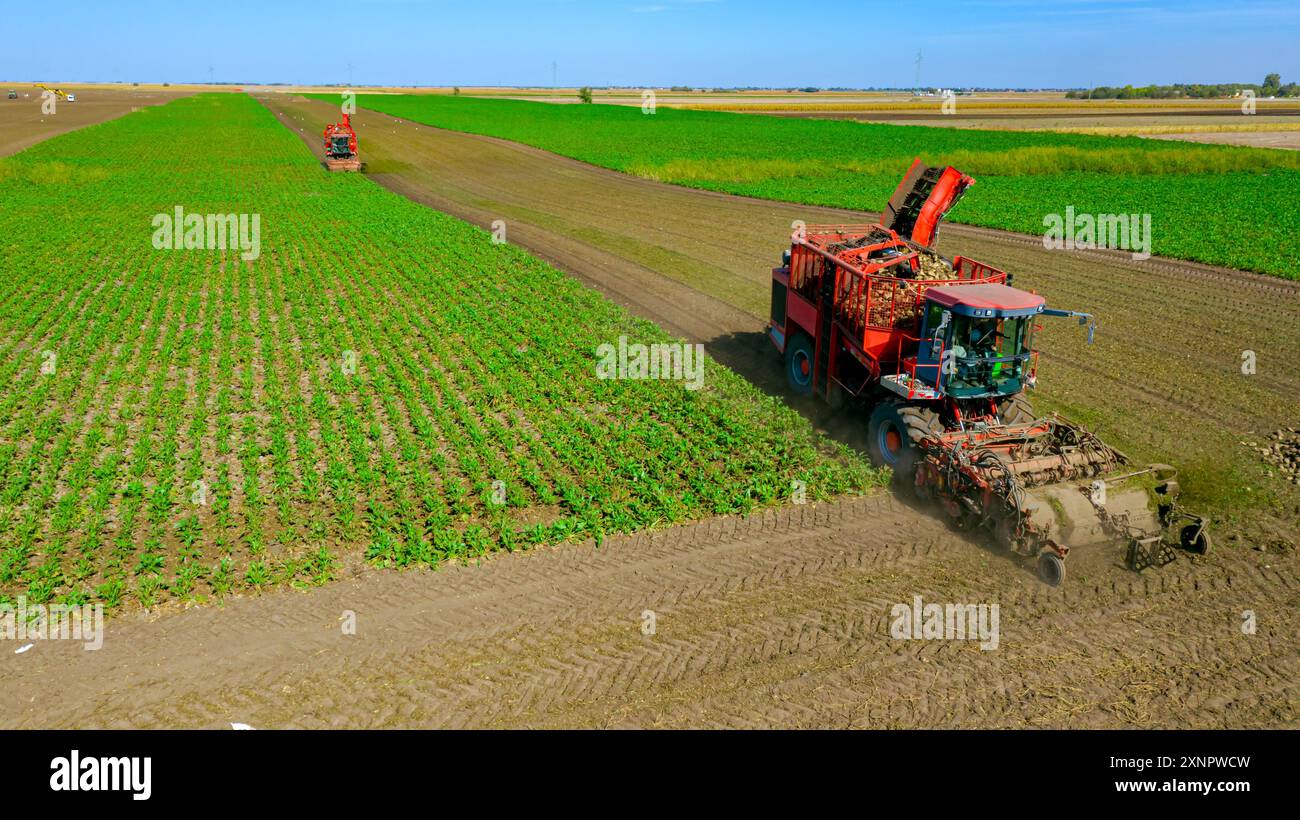 Above view on two agricultural machines, harvesters as cutting and ...