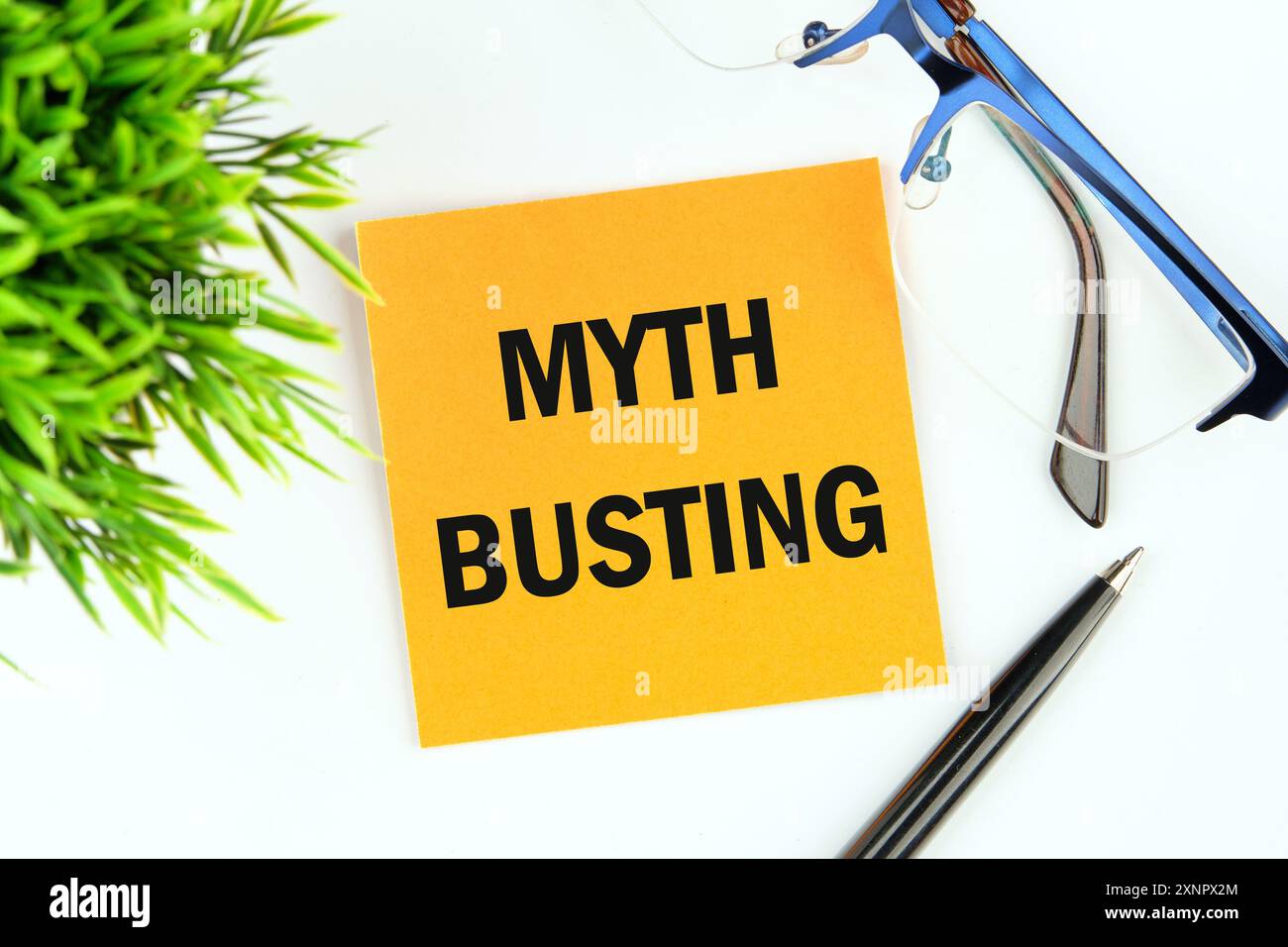 Myth busting word concept on a yellow mustard flower sticker on a white background Stock Photo ...