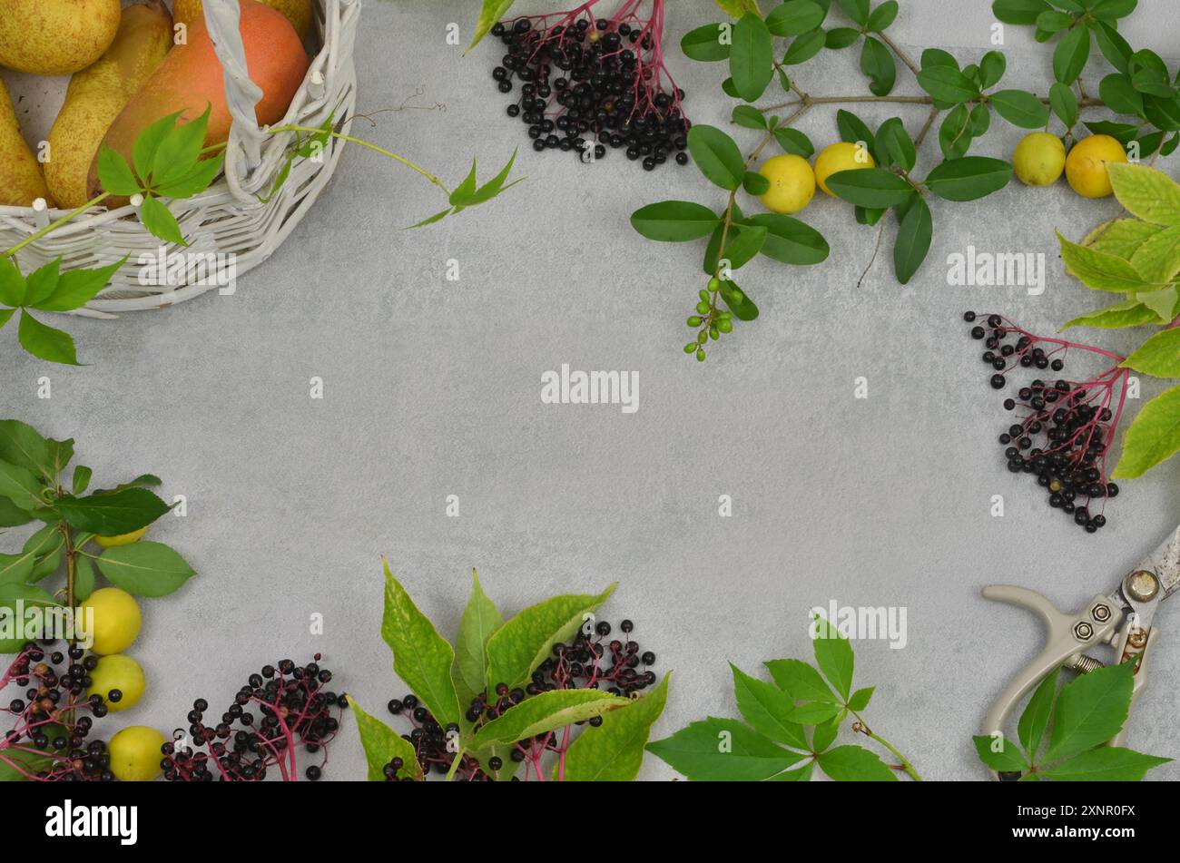 Empty basket in middle hi-res stock photography and images - Alamy