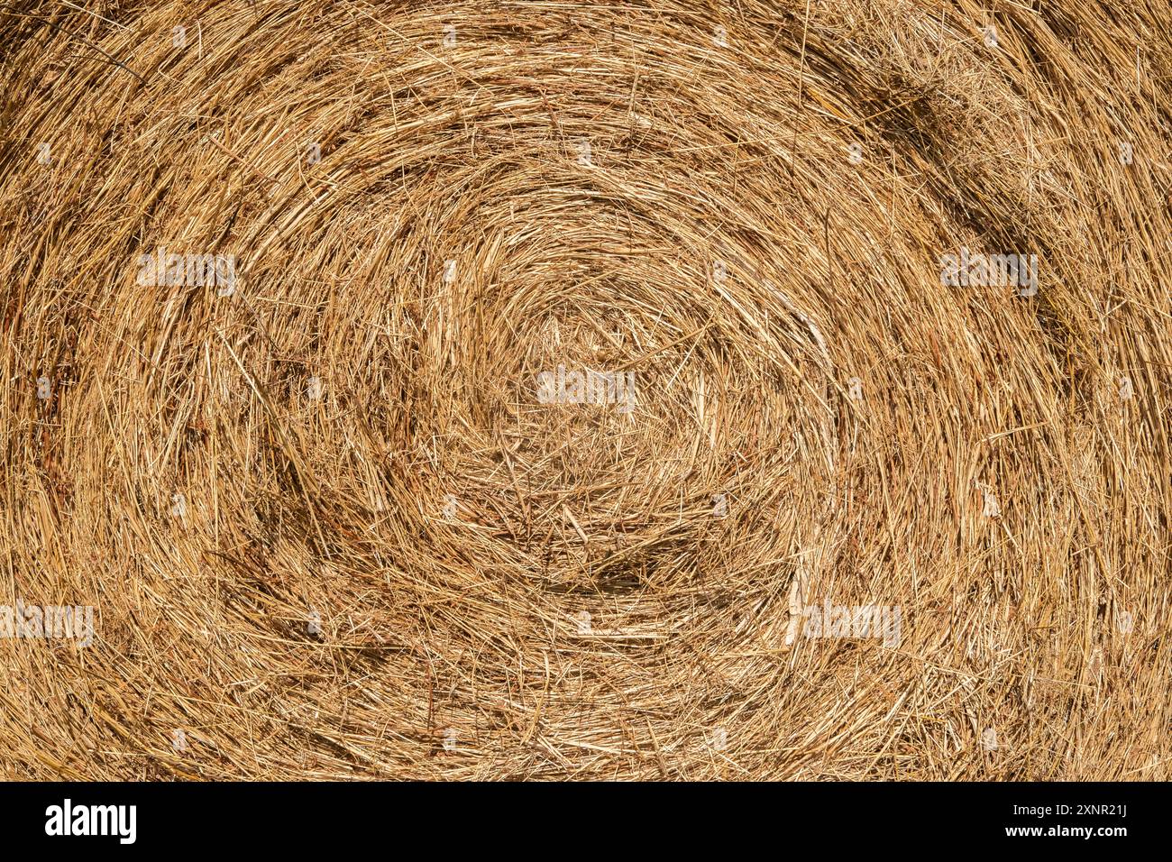 Closeup hay roll haystack hi-res stock photography and images - Alamy