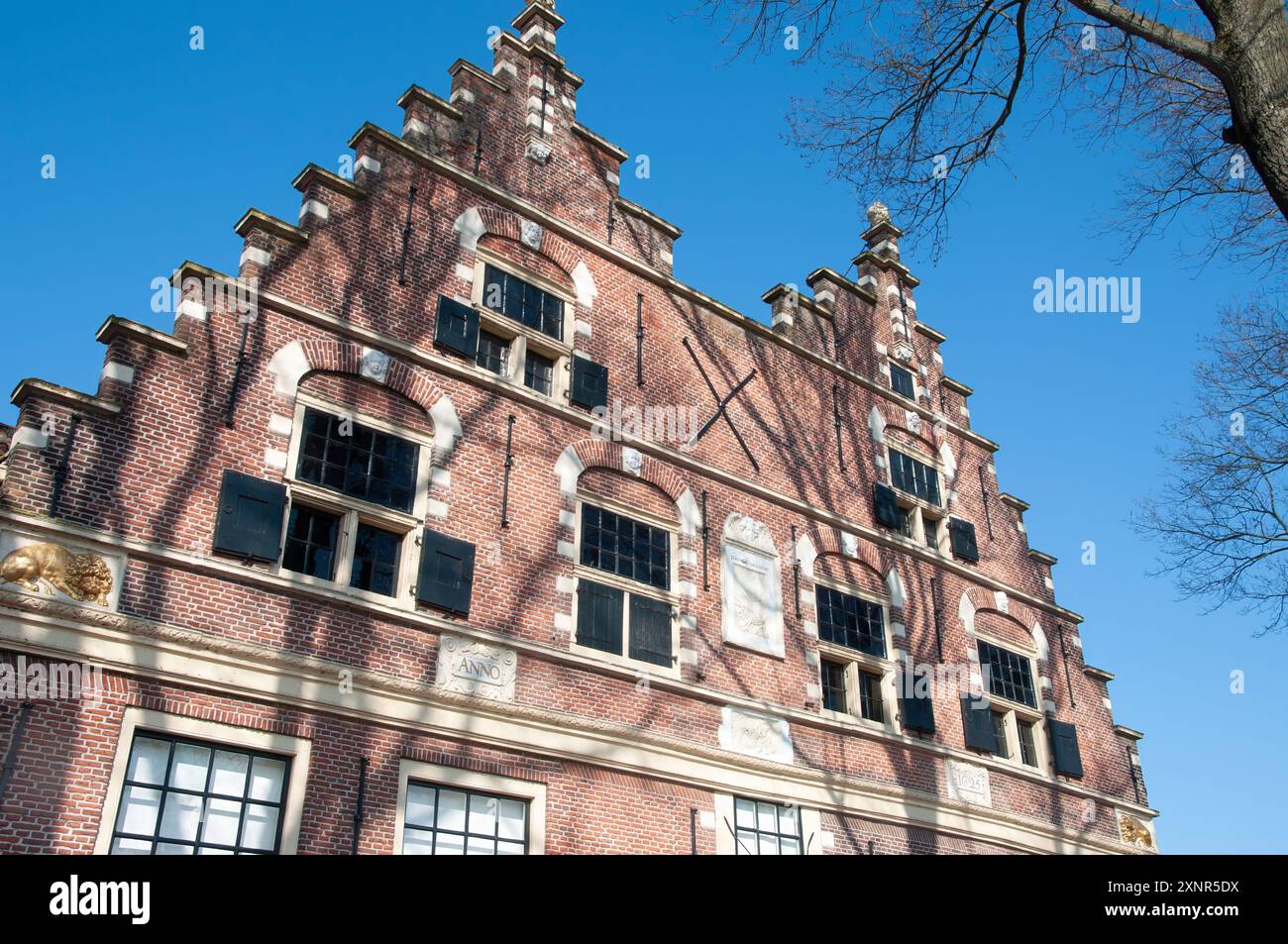 Gibel carp hi-res stock photography and images - Alamy