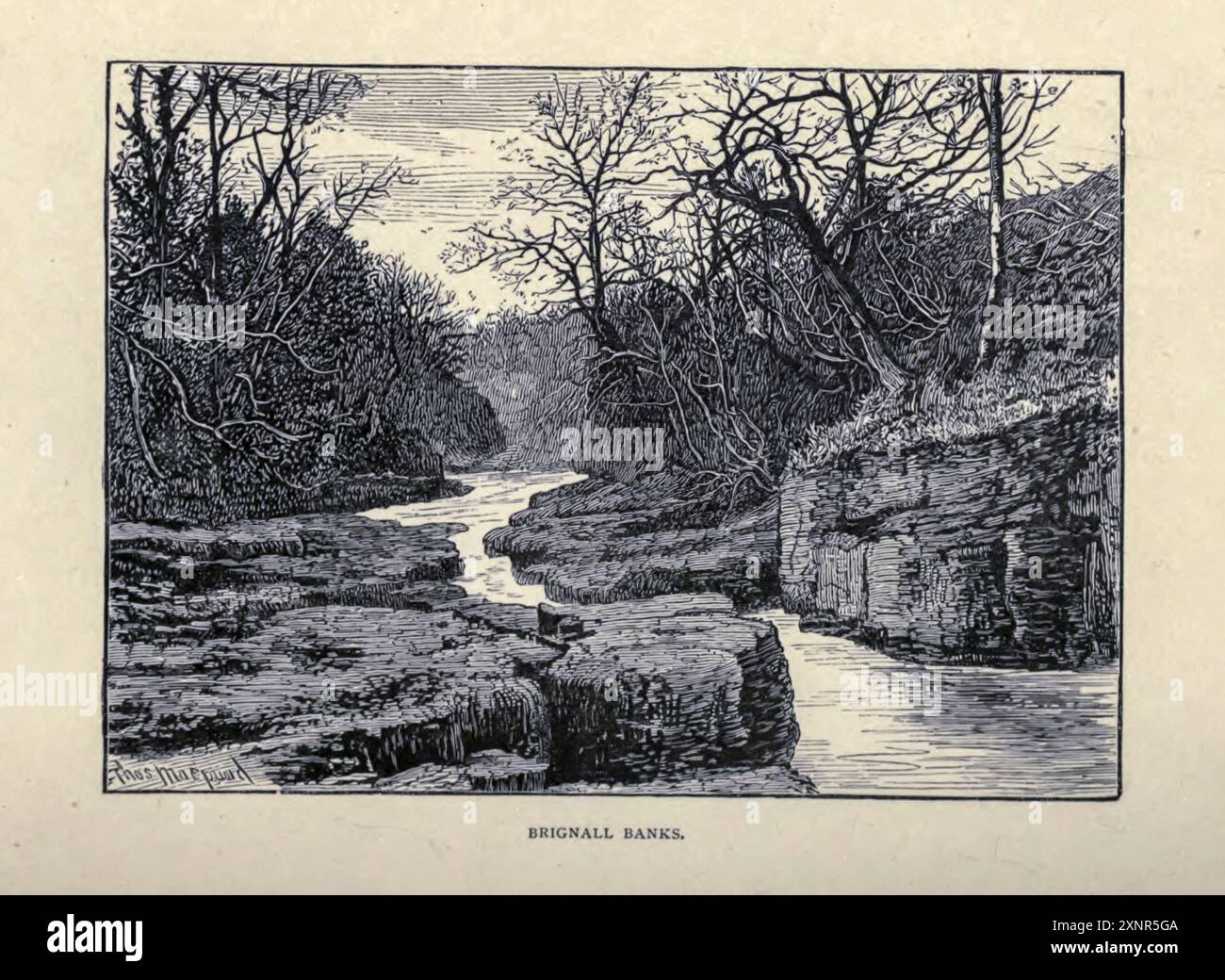 Brignall banks hi-res stock photography and images - Alamy