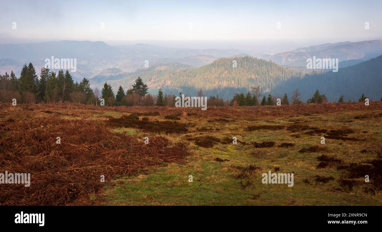 Nationalpark Schwarzwald, Black Forest National Park in Baden ...
