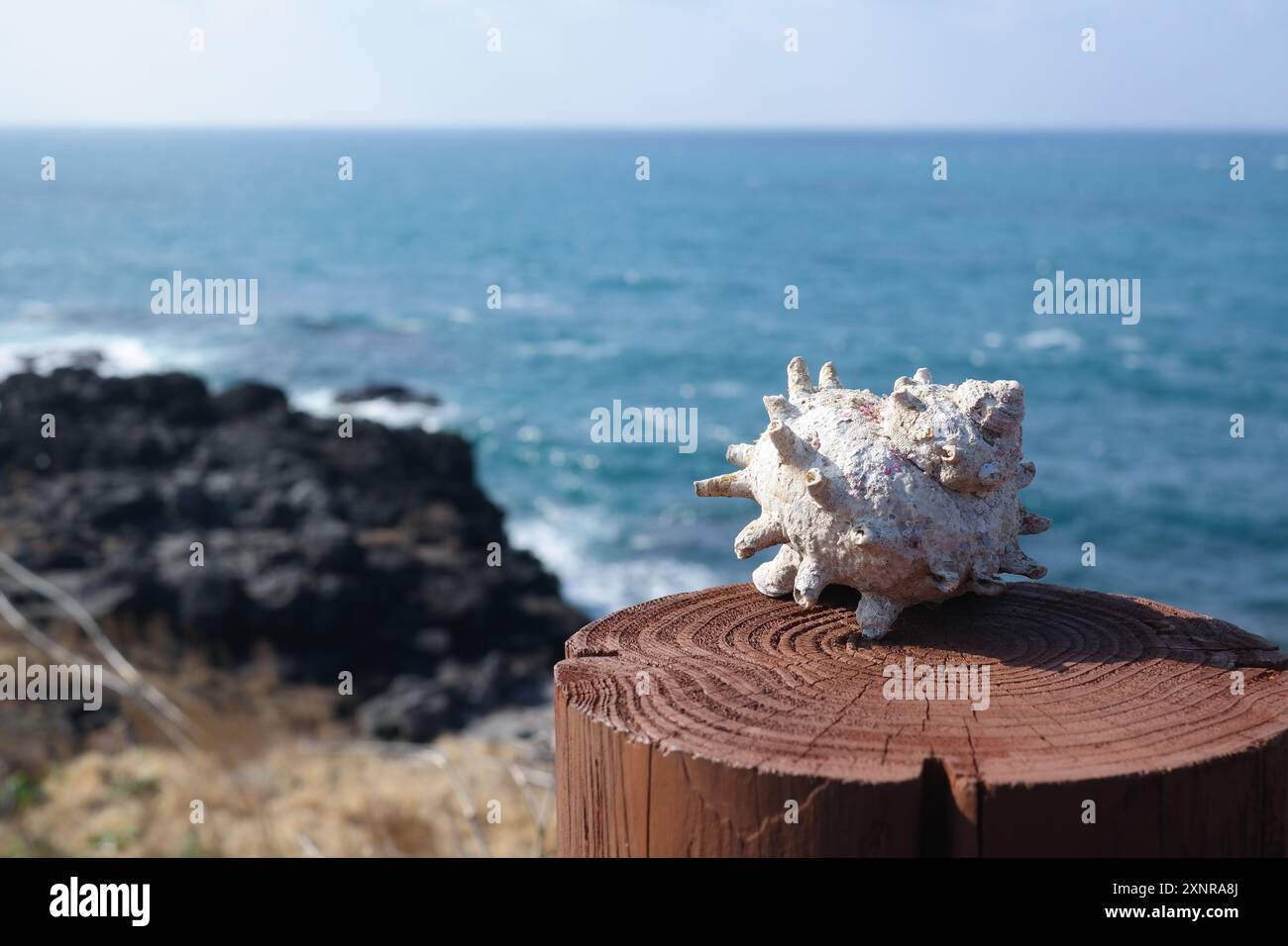 Shell sign against blue sky hi-res stock photography and images - Alamy