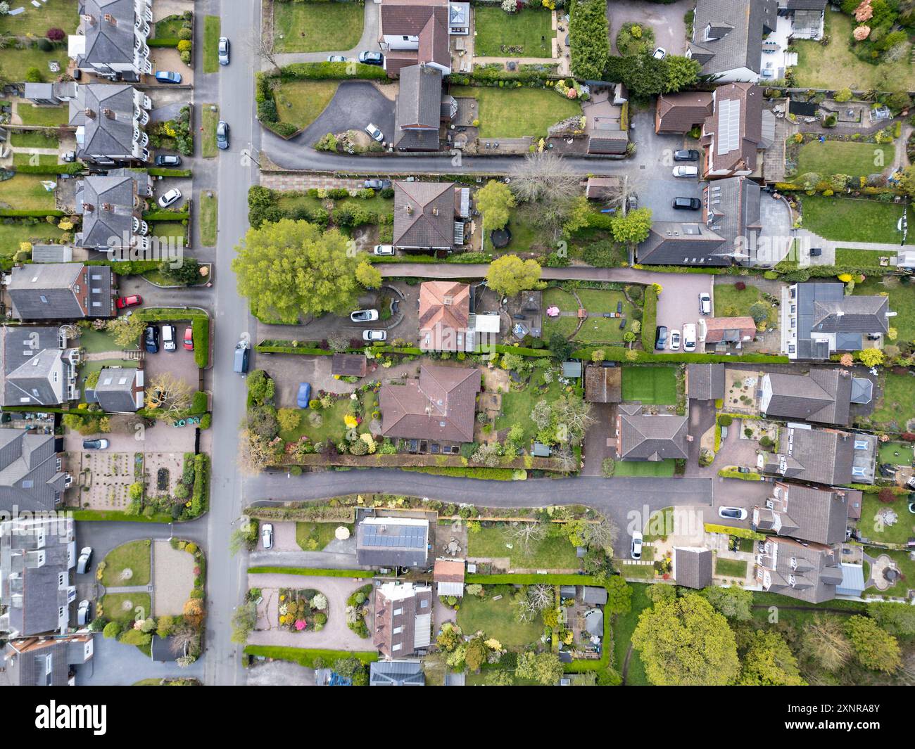 Aerial view of detached houses and gardens on Wirral Peninsula ...
