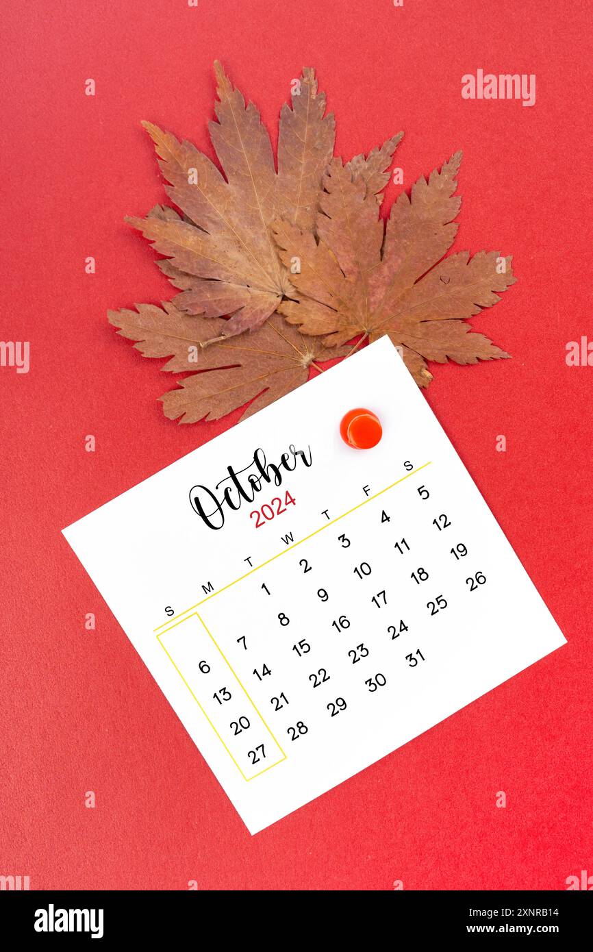 October 2024 calendar page and autumn maple leaf with thumbtack on red ...