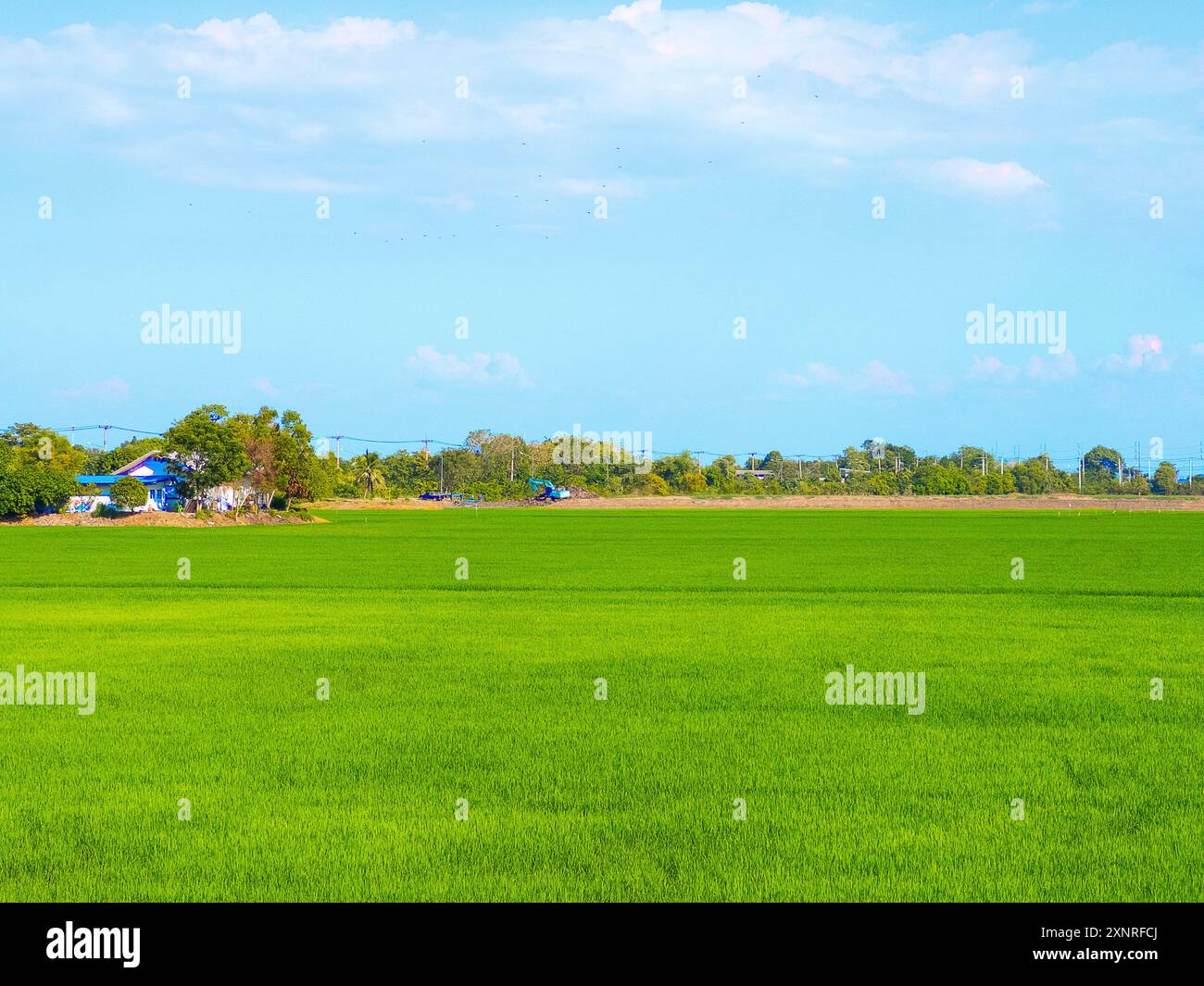 Lush green farmland clear field hi-res stock photography and images - Alamy