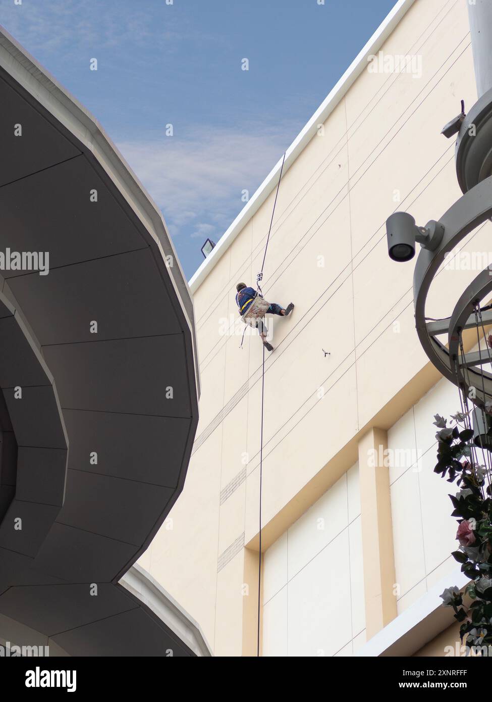 A worker is suspended by ropes, painting the exterior of a tall ...