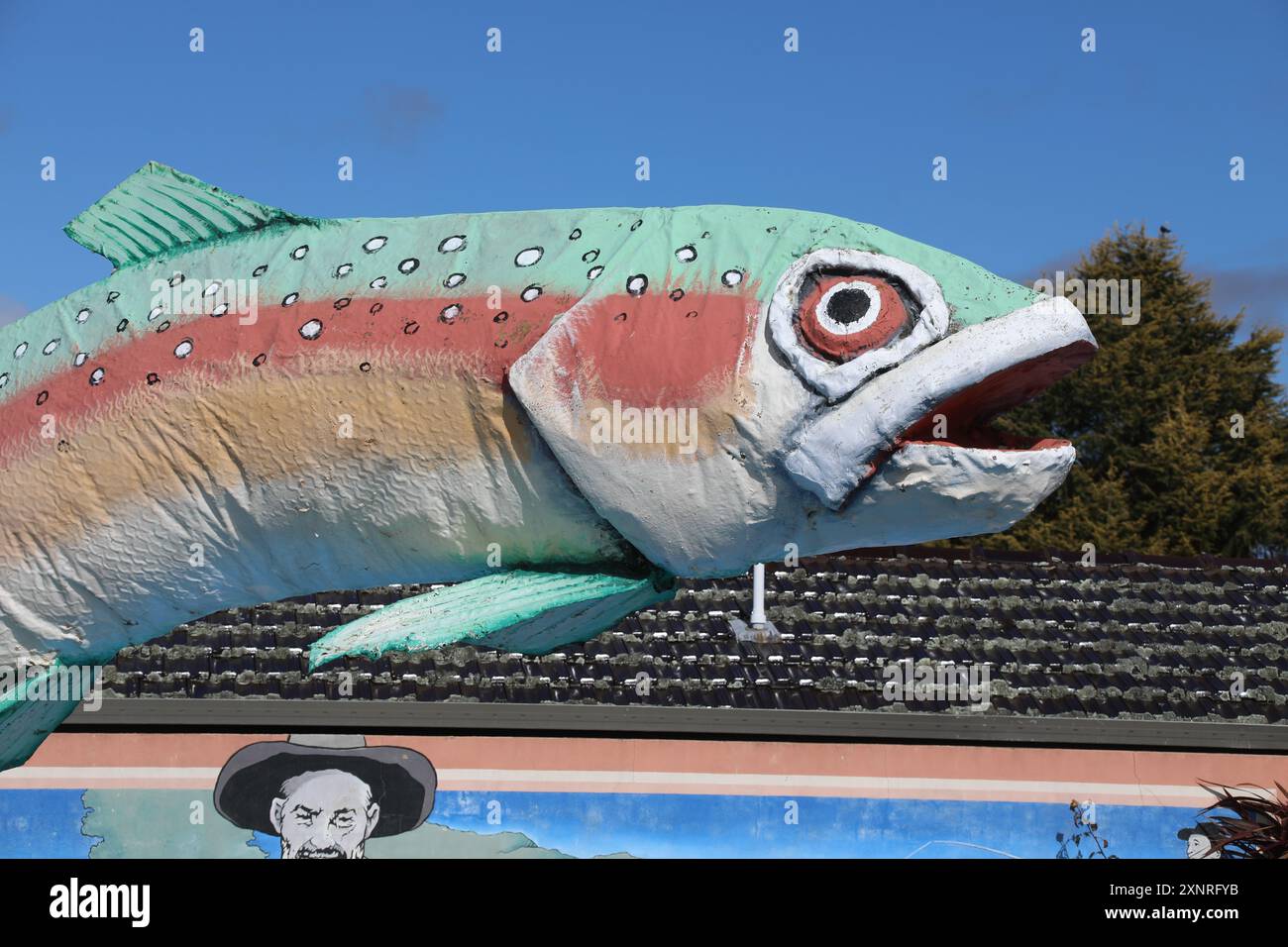 The big trout australia hi-res stock photography and images - Alamy