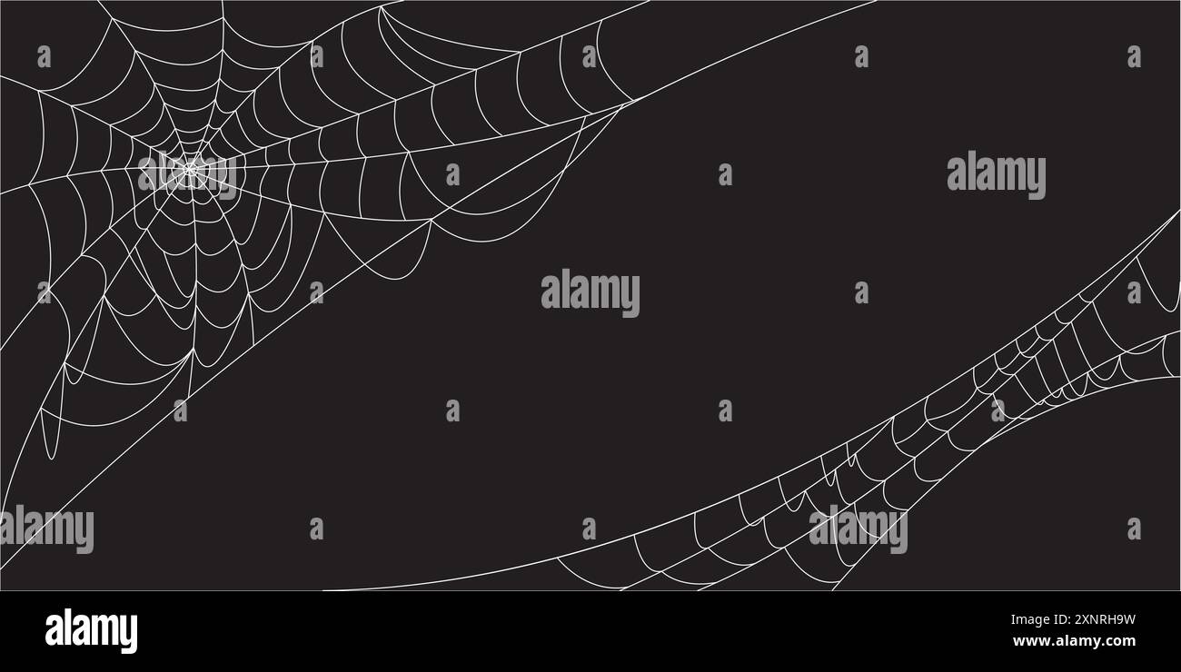 Corner Cobweb, isolated on black, transparent background. Spiderweb for ...