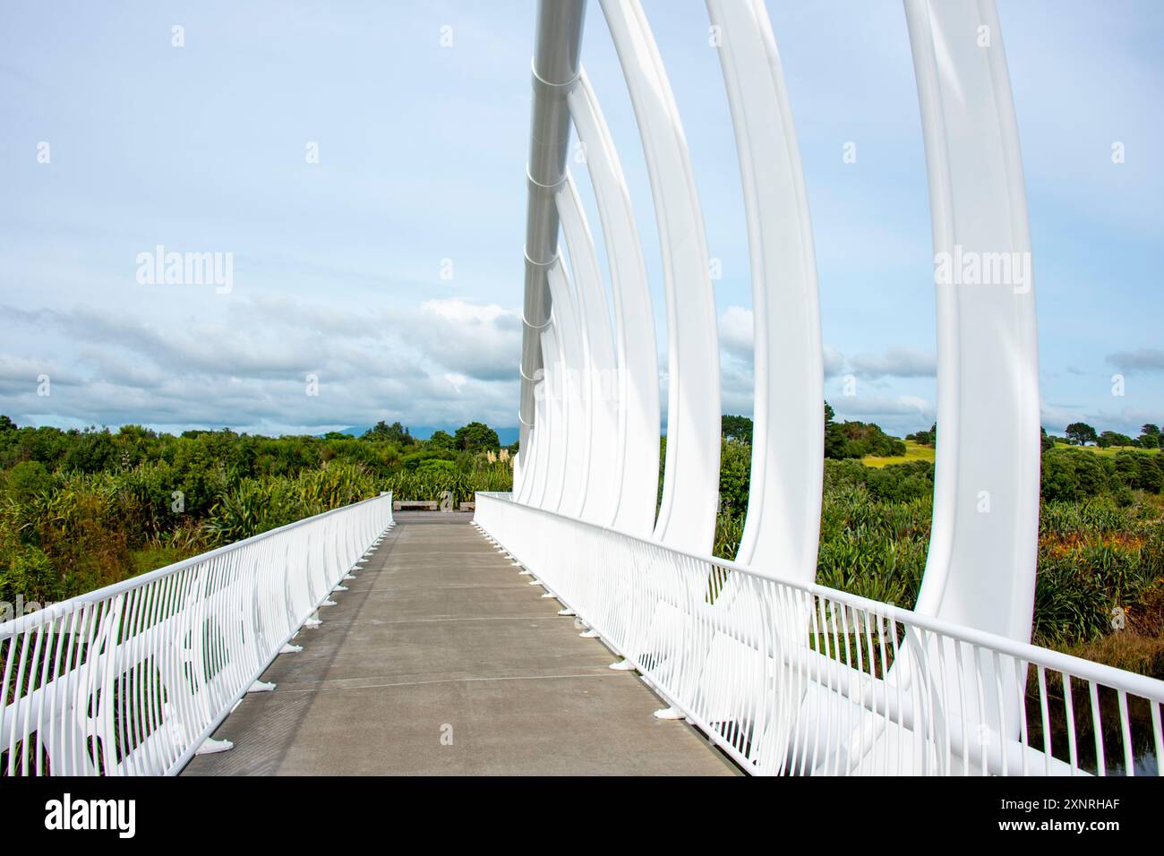 Rewa rewa hi-res stock photography and images - Alamy