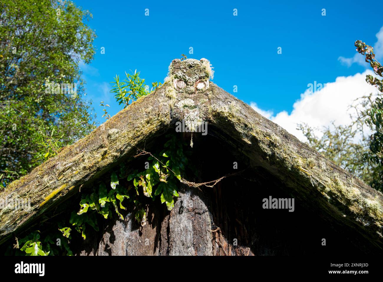 Buried Village of Te Wairoa - New Zealand Stock Photo - Alamy