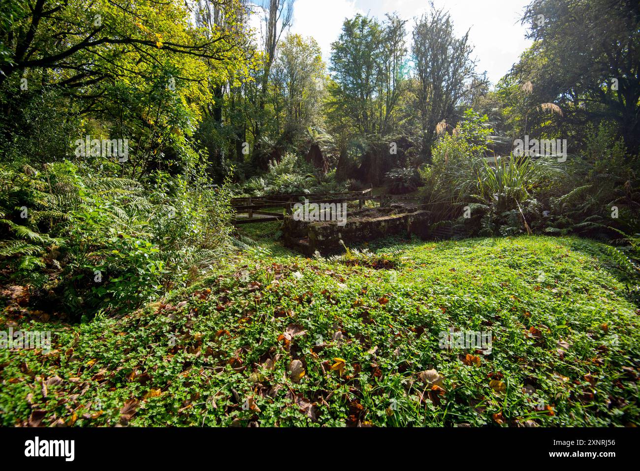 Te wairoa buried village hi-res stock photography and images - Alamy