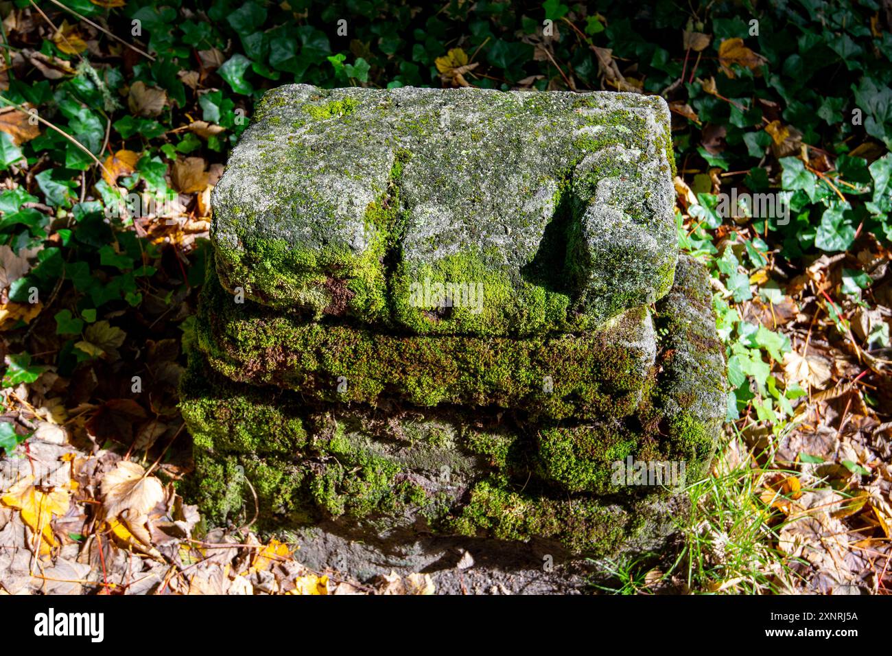 Te wairoa buried village hi-res stock photography and images - Alamy
