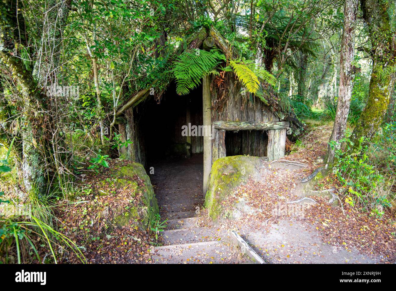 Buried Village of Te Wairoa - New Zealand Stock Photo - Alamy