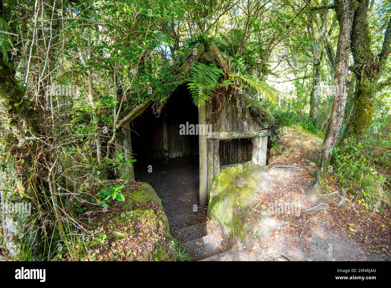 Te wairoa buried village hi-res stock photography and images - Alamy