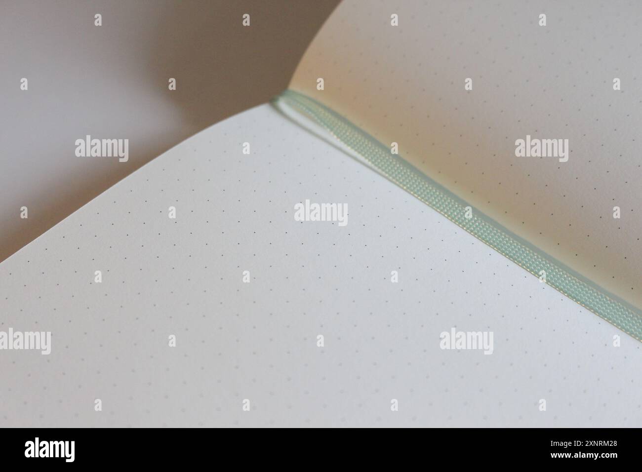 A photograph of a bullet journal notebook, blank page Stock Photo - Alamy