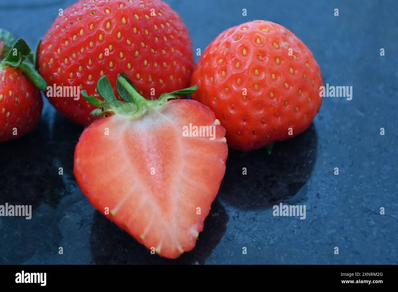 Natural forest images hi-res stock photography and images - Alamy