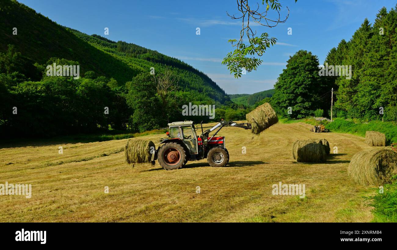 Grass silage making with round bales silage, red tractor set in Welsh ...