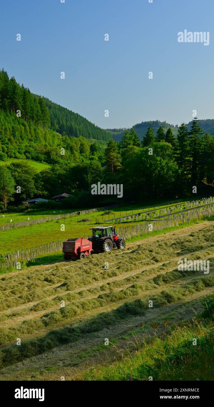 Silage making hi-res stock photography and images - Alamy