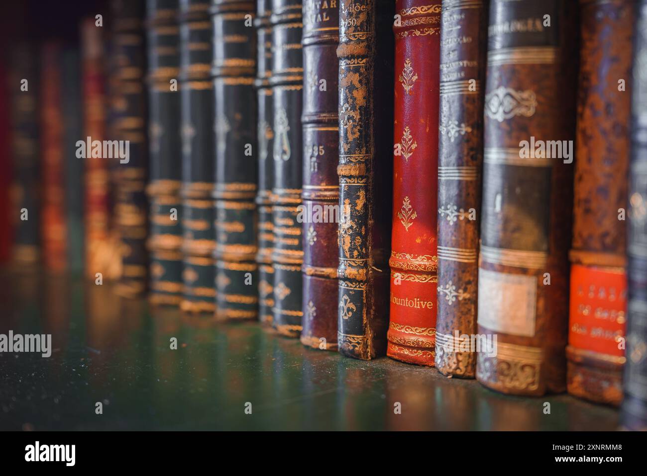 Close-Up of Antique Leather-Bound Books with Ornate Gold Detailing in ...
