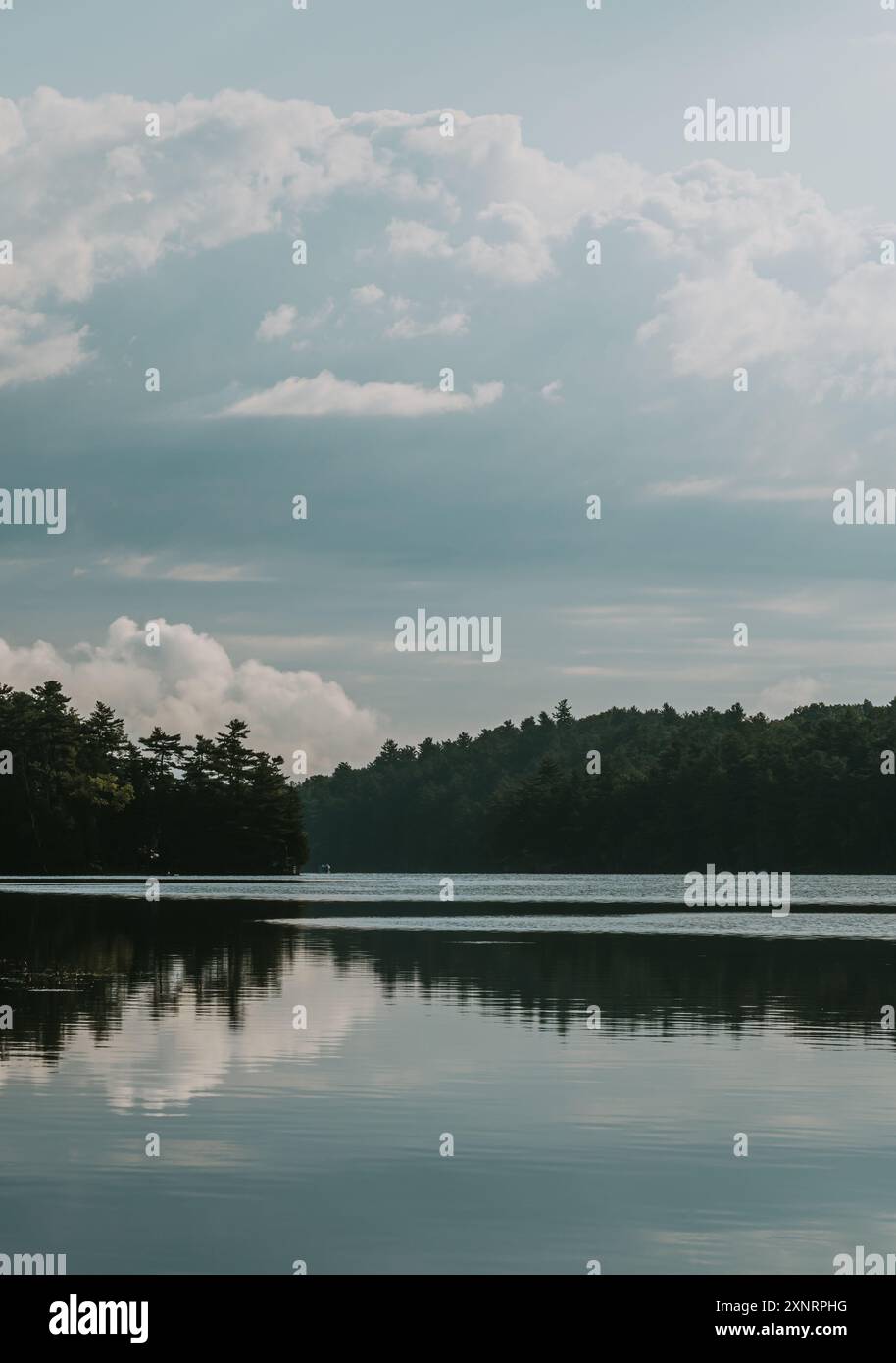 Lake landscape view on calm hazy summer day in Ontario, Canada Stock ...
