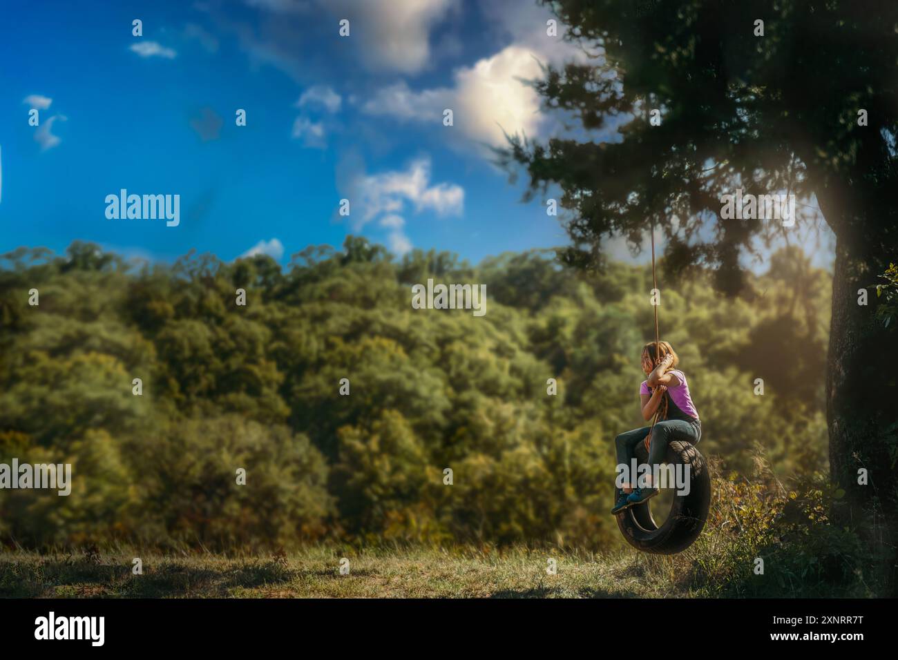 Girl sitting on tire swing on a summers day with cloudy blue sky Stock ...
