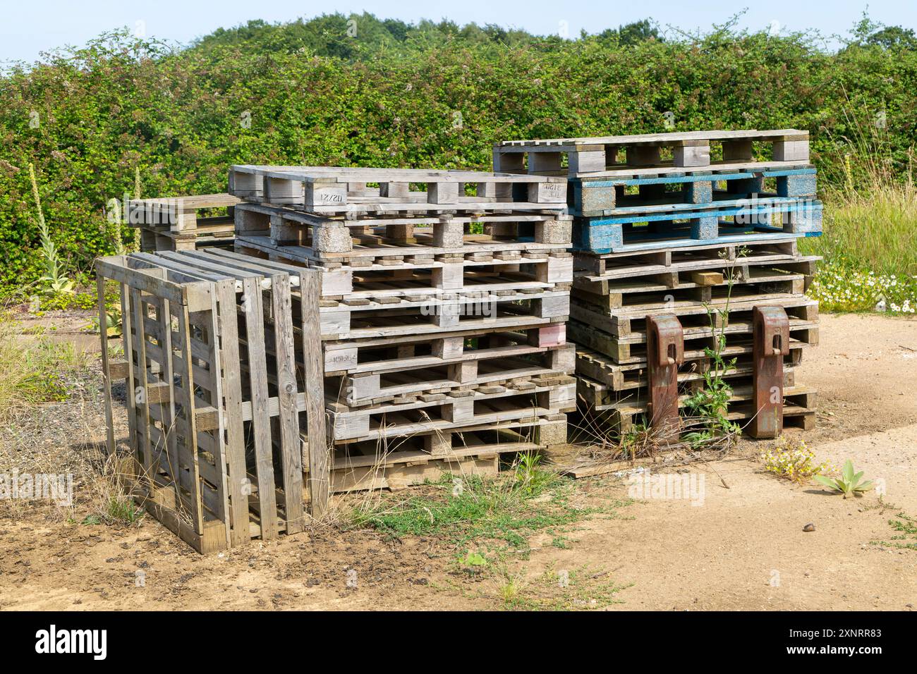 Pile of wooden pallets stacked up, Sutton, Suffolk, England, UK Stock ...