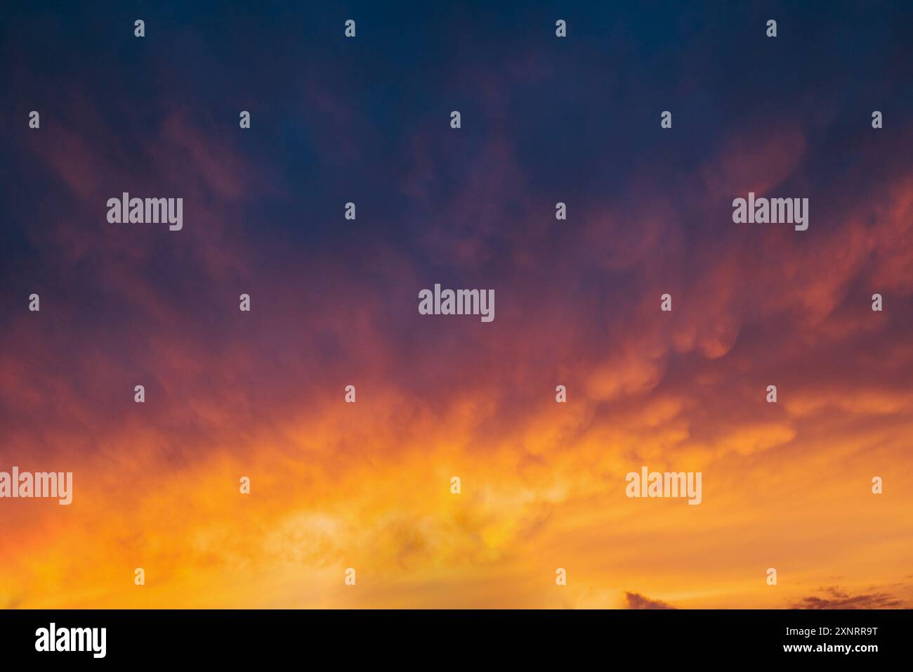 Golden hour color hi-res stock photography and images - Alamy