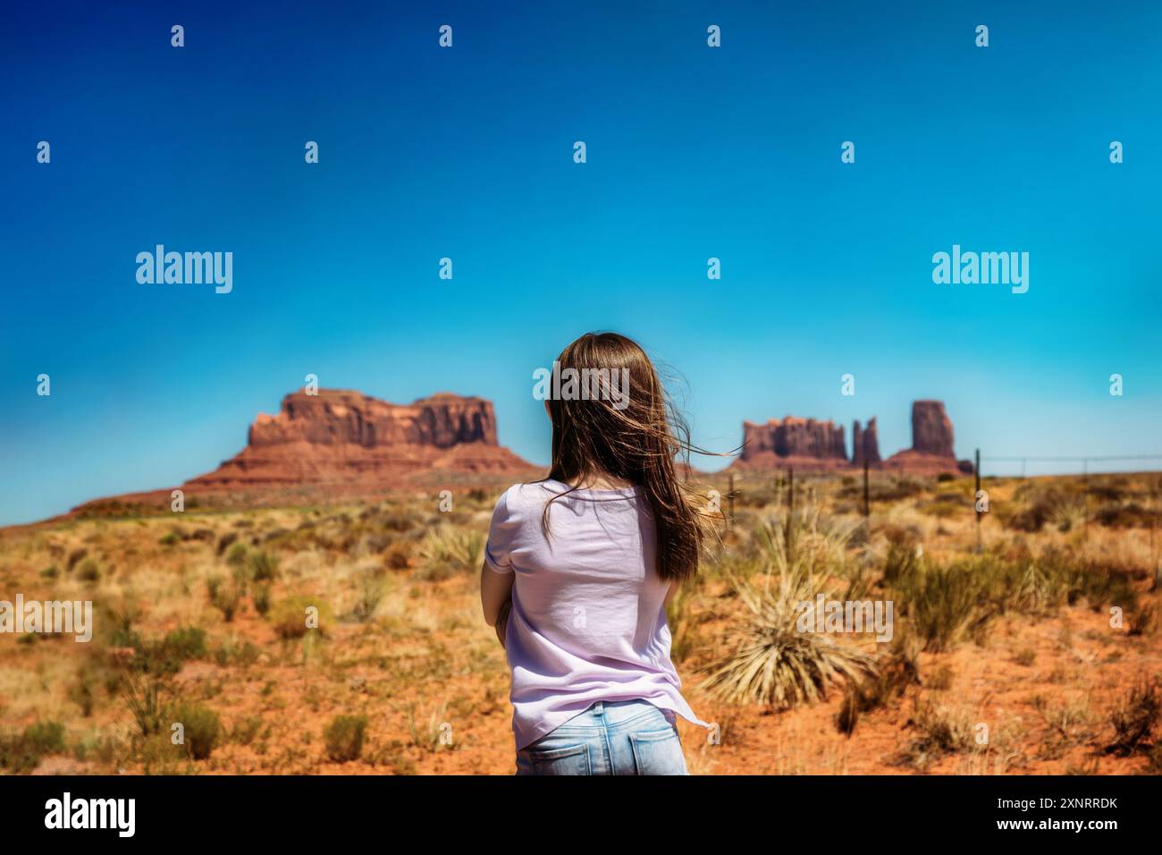 Arizona desert travel hi-res stock photography and images - Alamy