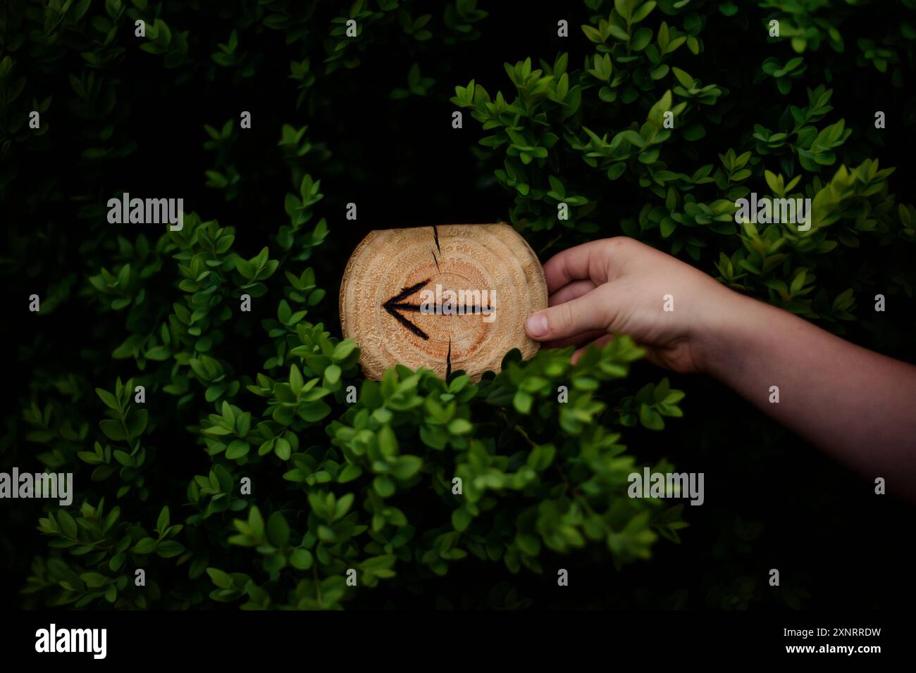 Childs hand holding wooden sign with arrow Stock Photo - Alamy