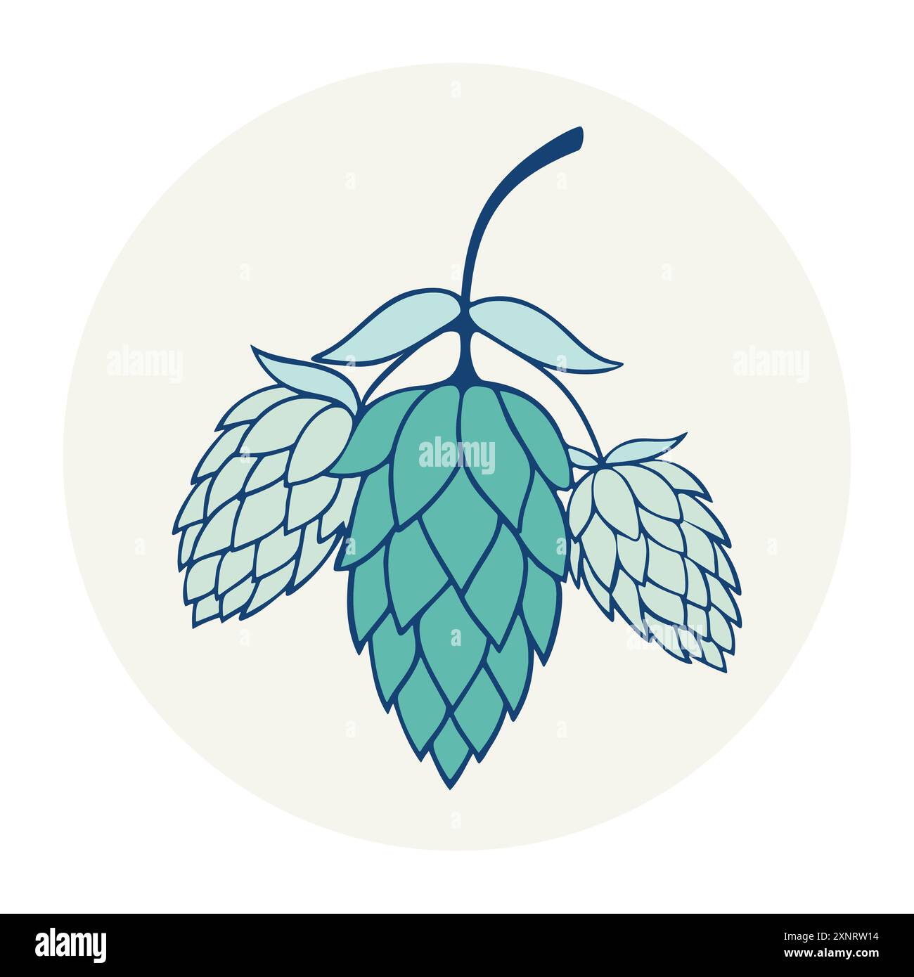 Hop plant with cones and leaves, doodle stylized drawing, logo icon ...