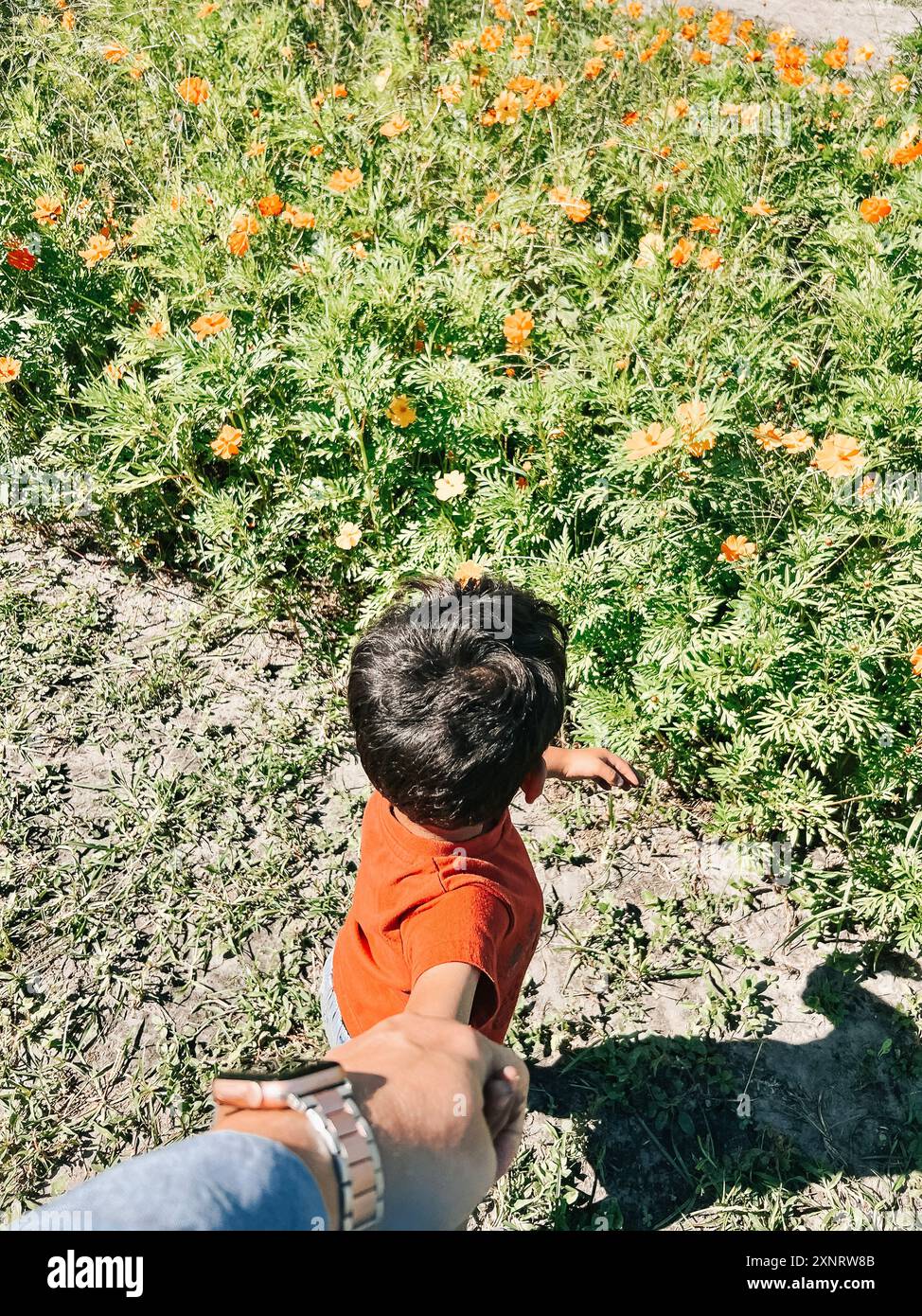 Child led parenting hi-res stock photography and images - Alamy