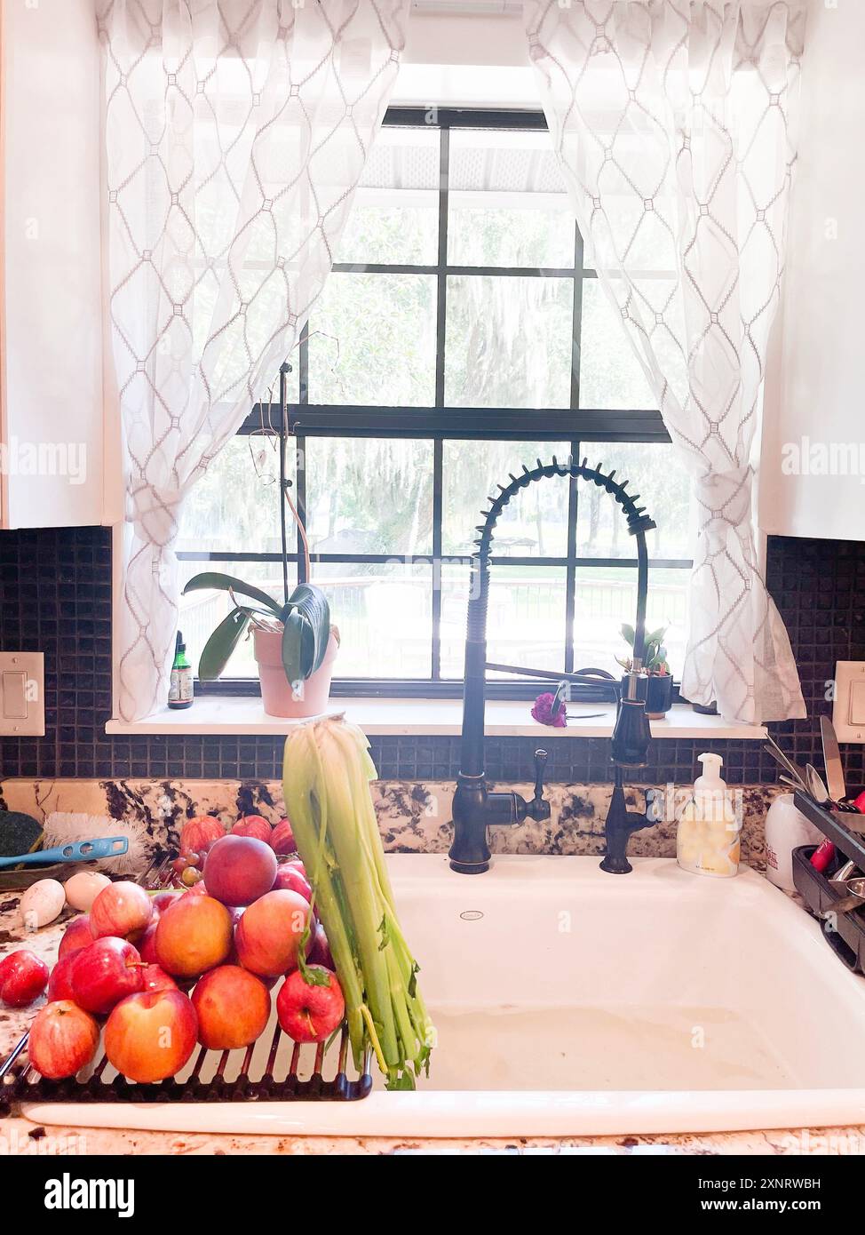 Bright kitchen sink with fresh fruits and vegetables by the wind Stock ...