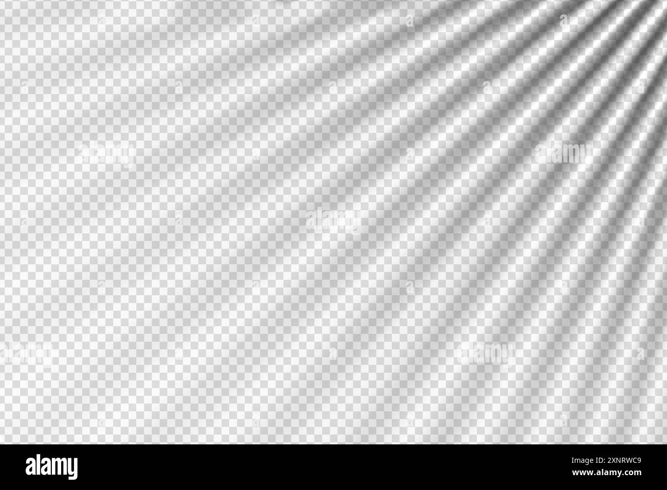 Light opacity Black and White Stock Photos & Images - Alamy