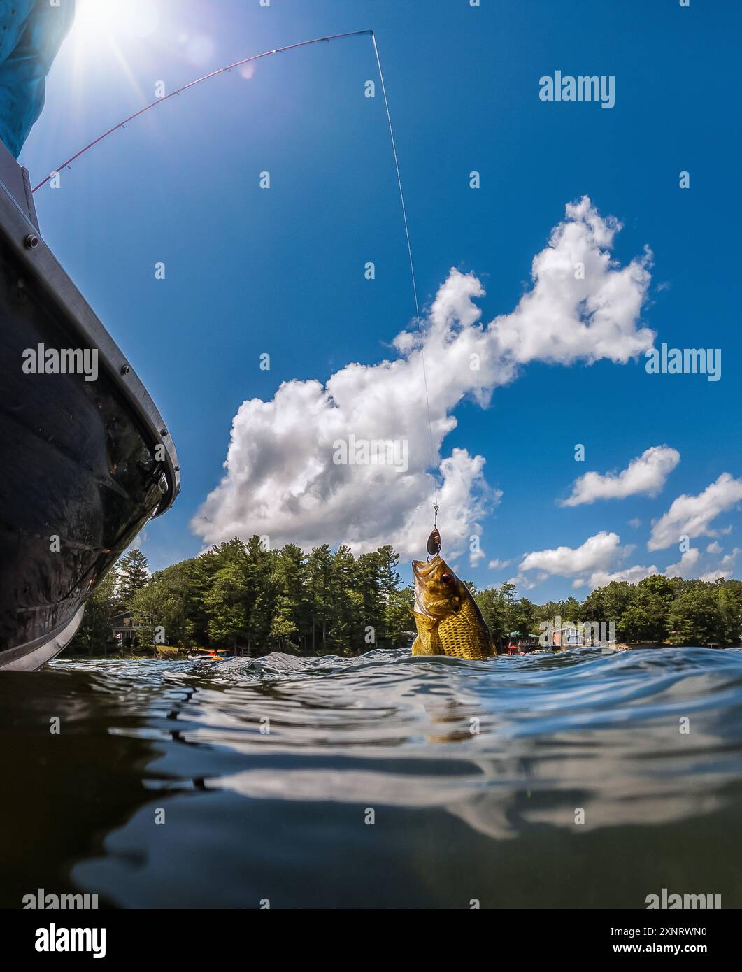 Fish being reeled into boat on fishing rod shot from water level Stock ...