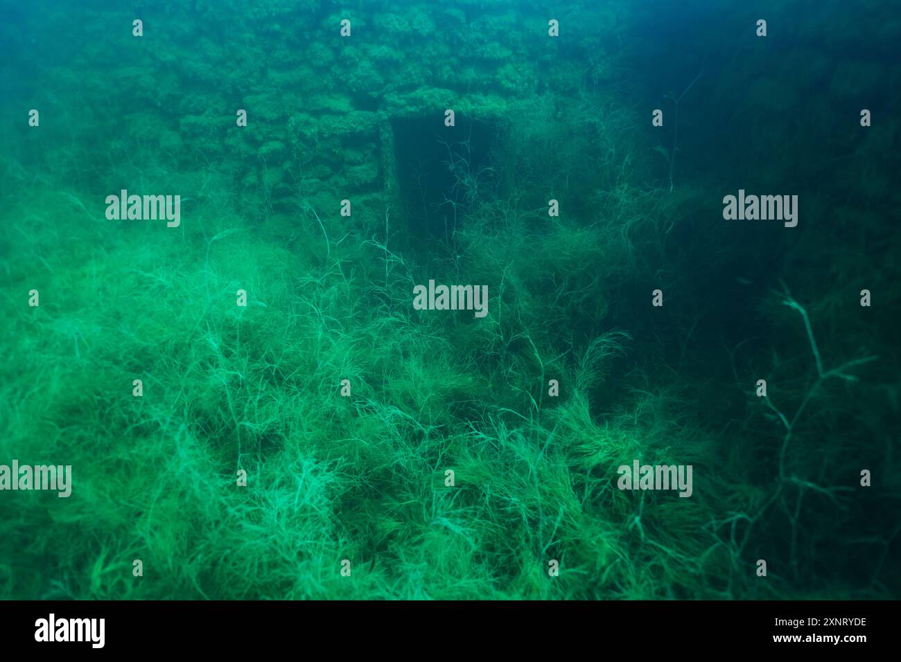 Underwater photo, a flooded prison building with an entrance overgrown ...