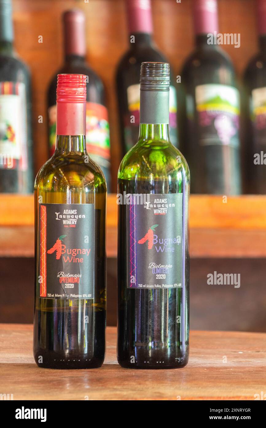 Fruit wine made from bignay fruits in Ilocos, Philippines Stock Photo ...