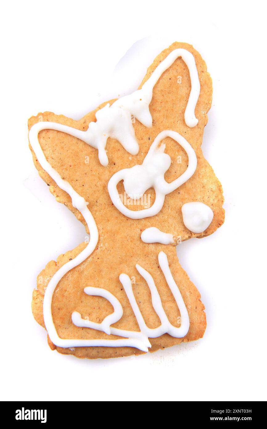 Chihuahua cookie hi-res stock photography and images - Alamy