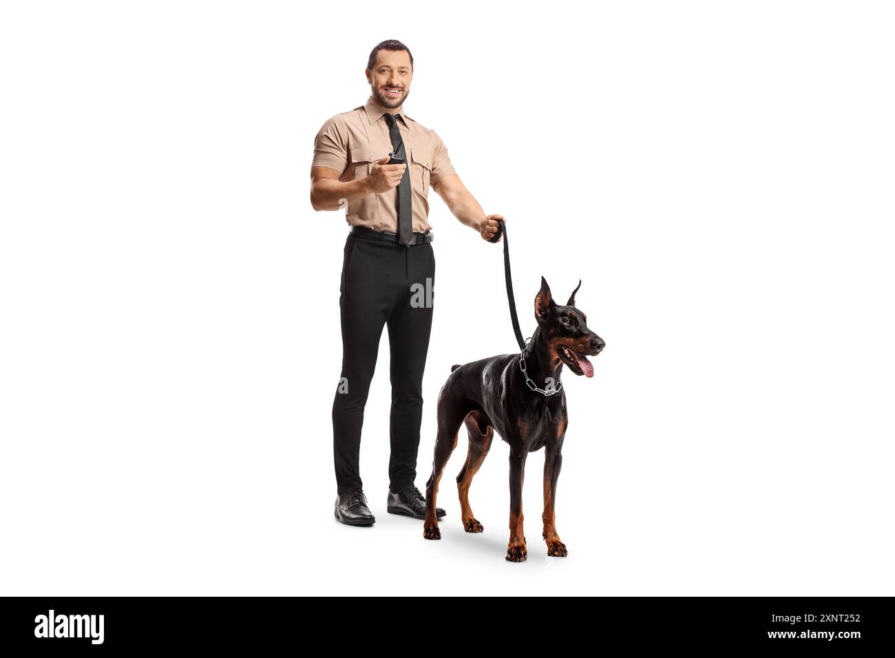 Security officer holding a walkie talkie and a doberman dog on a lead ...